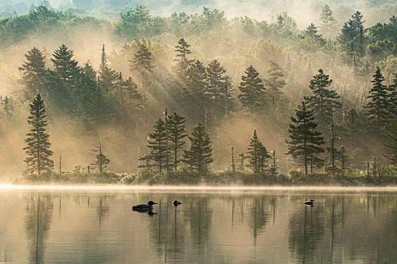 A Tranquil Morning | Upper Valley Photos